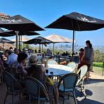 6 Hour Welcome to Brisbane Private Sightseeing Private Tour - The Value of the Tour
