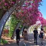 6 Hour Welcome to Brisbane Private Sightseeing Tour - What’s Included and What’s Not
