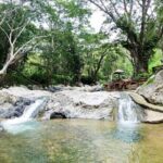 6 Hours Giant Zipline Adventure Park in Fiji - What’s the Real Value?