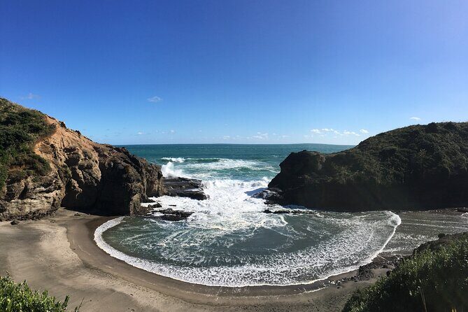 6 Hours Sightseeing Tour in Auckland - Who Will Enjoy This Tour?