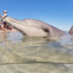 7-Day Exmouth Explorer via Pinnacles Monkey Mia Ningaloo Reef returning to Perth - Authentic Experiences and What Travelers Say