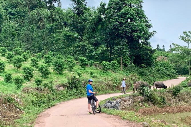 7-Day Guilin & Longji Rice Terraces Bike Adventure - What Makes This Tour Stand Out