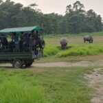 7 Day Himalayan Highlights: Culture, Mountain, Jungle Safari - Transportation & Logistics