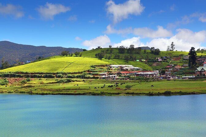 7 Day Private Guided Tour in Sri Lanka - Thorough Breakdown of the Itinerary