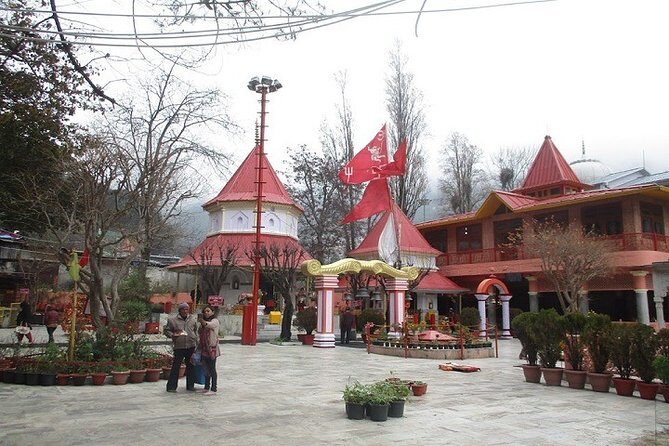 7-Day Private Tour of North India with Accommodation - The Sum Up: Who Is This Tour Best For?