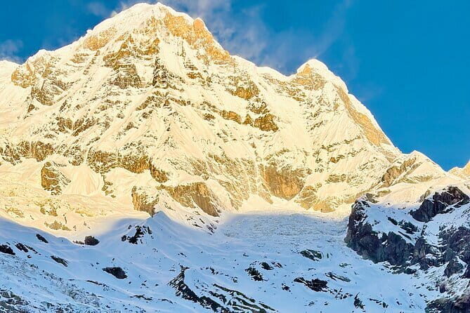 7 Days ABC Trek with Chitwan Safari Tour - What Does This Tour Really Offer?