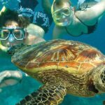 8-Day Cairns Tour: Great Barrier Reef, Kuranda, Daintree Rainforest - Why This Tour Offers Real Value