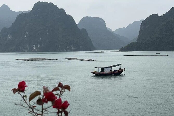 8 Days Package Tour in Vietnam - The Sum Up: Is This Tour Right for You?