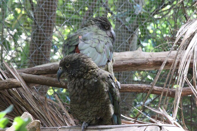 8-Hour Private Scenic Kapiti Coast Tour from Wellington - The Practical Aspects