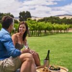 8 Hour Wine Tour and Tasting Experience at McLaren Vale - Who Is This Tour Best For?