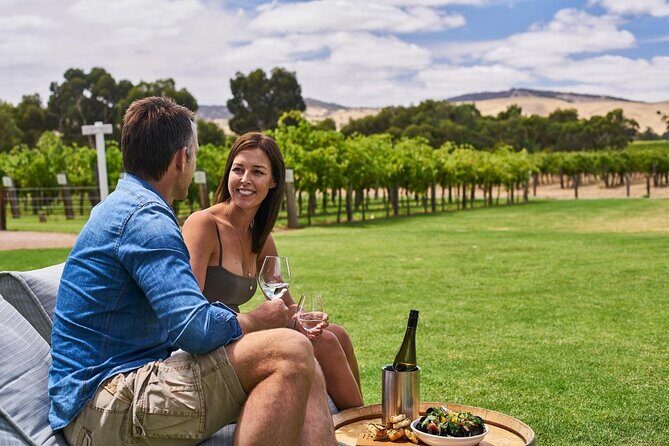 8 Hour Wine Tour and Tasting Experience at McLaren Vale - Who Is This Tour Best For?