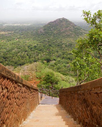 9 Days Lifetime Experience in Sri Lanka - Authentic Experiences That Stand Out