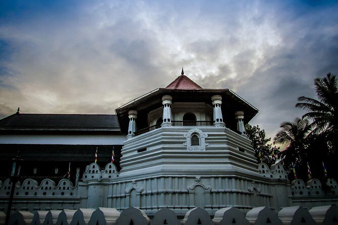 9 Days Sri Lanka Magical Paradise Tour - Who Would Enjoy This Tour?