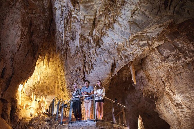 90-Minute Guided Ruakuri Cave Tour Waitomo - Accessibility and Comfort