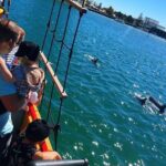 90 Minute Midweek Pirate Ship Scenic Cruise - Who Should Consider This Tour?