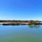 90 Minute Port River Dolphin & Ships Graveyard Cruise - Practical Details That Matter