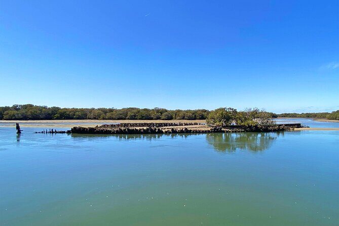 90 Minute Port River Dolphin & Ships Graveyard Cruise - Practical Details That Matter