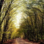 A Culinary Journey Through History and Nature - The Practicalities & Value