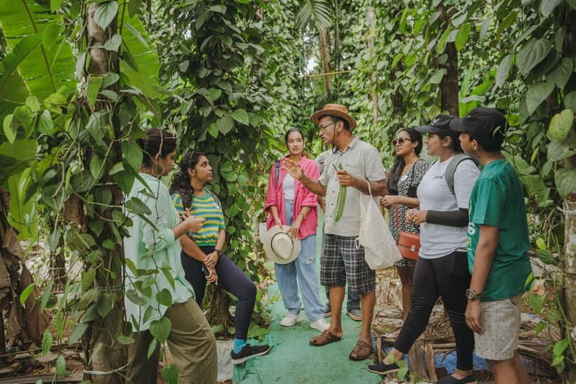 A Culinary Journey with locals in Chorao Island - Practical Details and Value