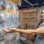 A Day in the life of a Hong Konger Tip Based Walking Tour - Who Will Love This Tour?