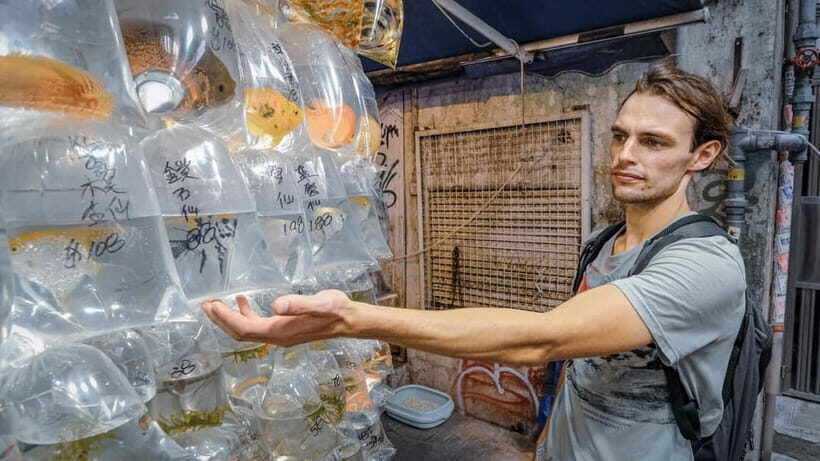 A Day in the life of a Hong Konger Tip Based Walking Tour - Who Will Love This Tour?