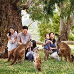 A Day with Penguins & Kangaroos: Small group Phillip Island Tour - Practical Tips and Considerations