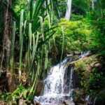 A Jungle-to-Sea Kayaking & Trekking Adventure in Phuket - Exploring the Itinerary: What You’ll Experience