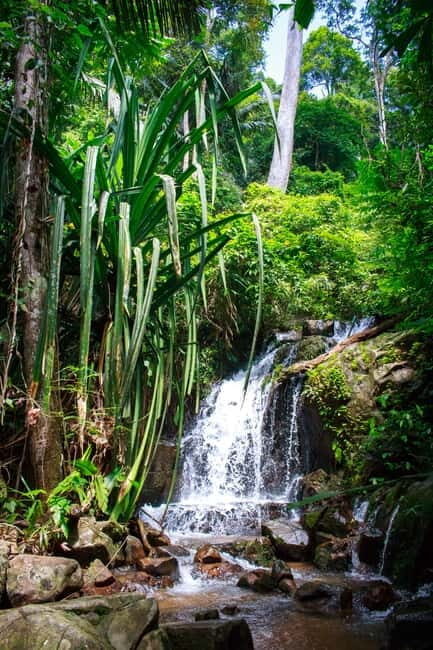 A Jungle-to-Sea Kayaking & Trekking Adventure in Phuket - Exploring the Itinerary: What You’ll Experience