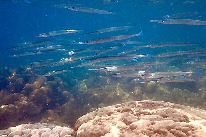 A most wanted Phu Quoc Snorkeling Tour - Fingernail Island – Lunch and a Chance to Rest