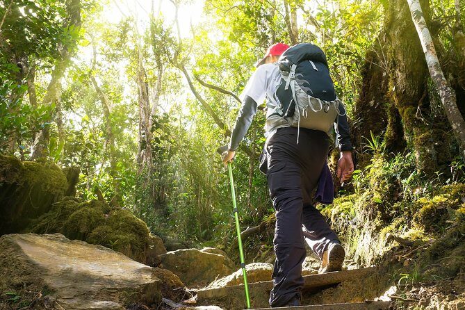 A Rendezvous with Nature - Templer Park and Kanching Waterfall Tour - Transportation, Timing, and Value