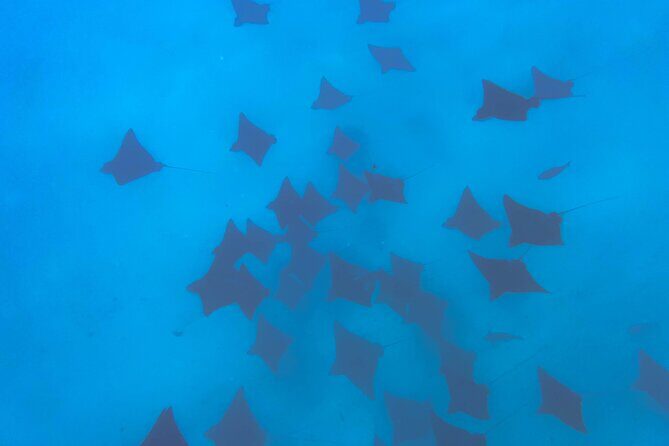 A Turtle Tour on Rarotonga - small groups, premium experience - Real Traveller Perspectives