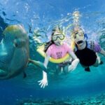 ABC Snorkel Charters Port Douglas Snorkelling max 12 passengers - The Sum Up