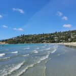 Abel Tasman Adventure Private Tour from Nelson Cruise Port - What Makes This Tour Stand Out?