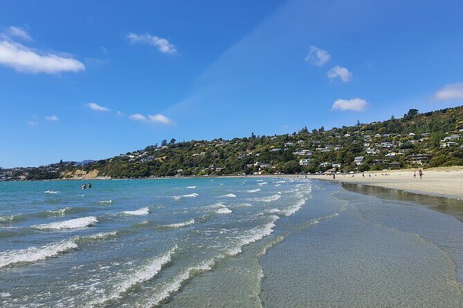 Abel Tasman Adventure Private Tour from Nelson Cruise Port - What Makes This Tour Stand Out?