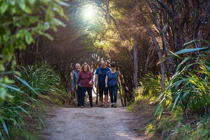 Abel Tasman Heli-Hike - The Experience from Start to Finish