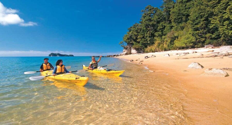 Abel Tasman Kayaks: 3 Day Kayak and Walk North - Who Is This Tour Best For?
