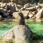 Abel Tasman National Park: Cruise and Hike Full-Day Tour - The Practical Side: What’s Included and What to Know
