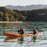 Abel Tasman National Park: Cruise, Kayak, & Hike Tour - Wildlife and Nature Encounters