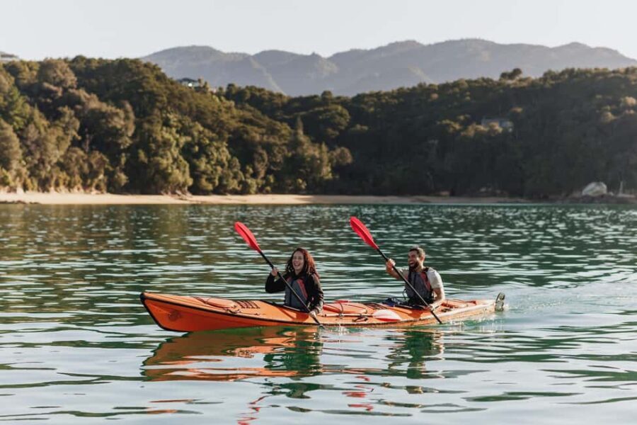 Abel Tasman National Park: Cruise, Kayak, & Hike Tour - Wildlife and Nature Encounters