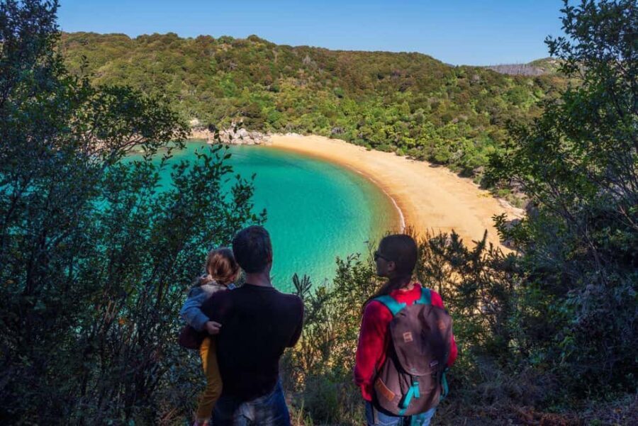 Abel Tasman National Park: Waka & Walk Tour - What Travelers Say