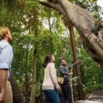 Aboriginal Heritage Walk - Royal Botanic Gardens Victoria, Melbourne Gardens - Why This Tour Works for You