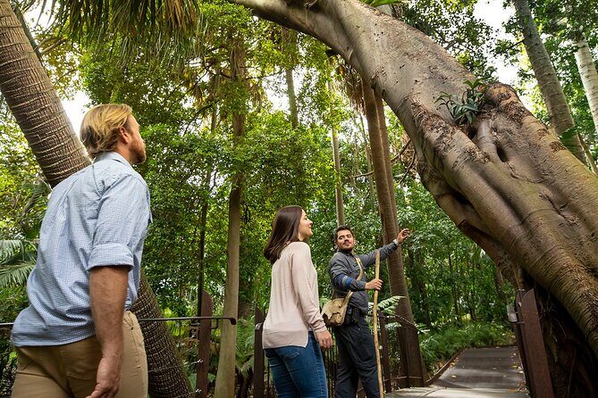 Aboriginal Heritage Walk - Royal Botanic Gardens Victoria, Melbourne Gardens - Why This Tour Works for You
