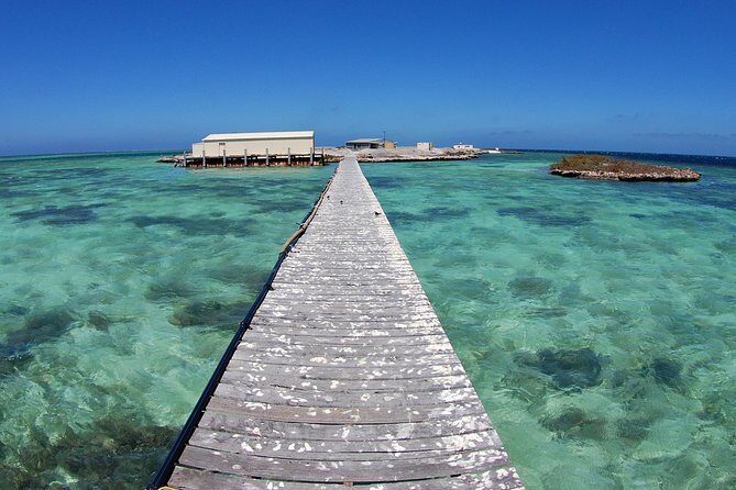 Abrolhos Islands 5 Day Cruise - Why You’ll Love This Experience
