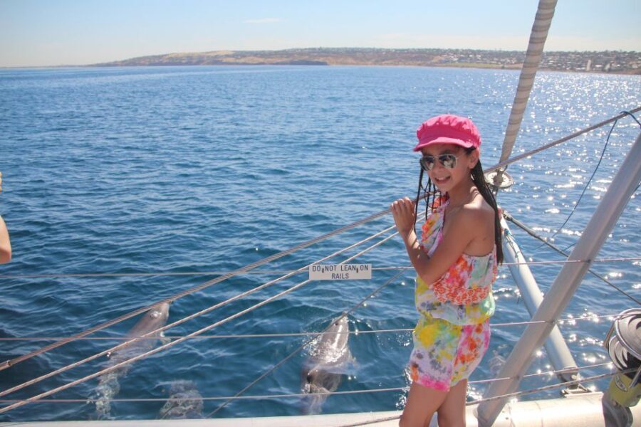 Adelaide: 4-Hour Guaranteed Wild Dolphin Watching Cruise - The Value of This Dolphin Cruise