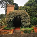 Adelaide: Barossa Private Wine Tour + Your Chosen Tastings - Authentic Insights from Past Travelers