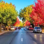 Adelaide City and Hahndorf Full Day Tour - Transportation and Group Dynamics