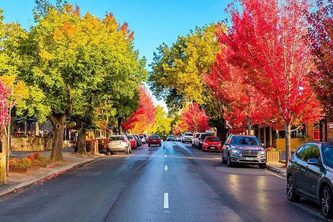 Adelaide City and Hahndorf Full Day Tour - Transportation and Group Dynamics