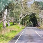 Adelaide City Highlights via Hahndorf Half-Day Tour - Who Will Love This Tour?