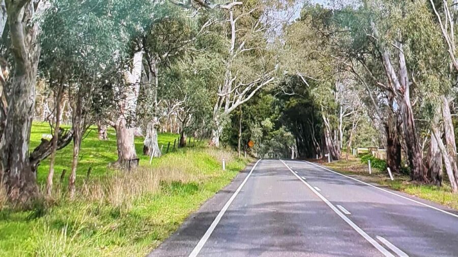 Adelaide City Highlights via Hahndorf Half-Day Tour - Who Will Love This Tour?