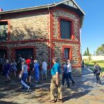 Adelaide Cruise Ship: Koalas & Penfolds & Heritage Day Tour - Who Will Love This Tour?